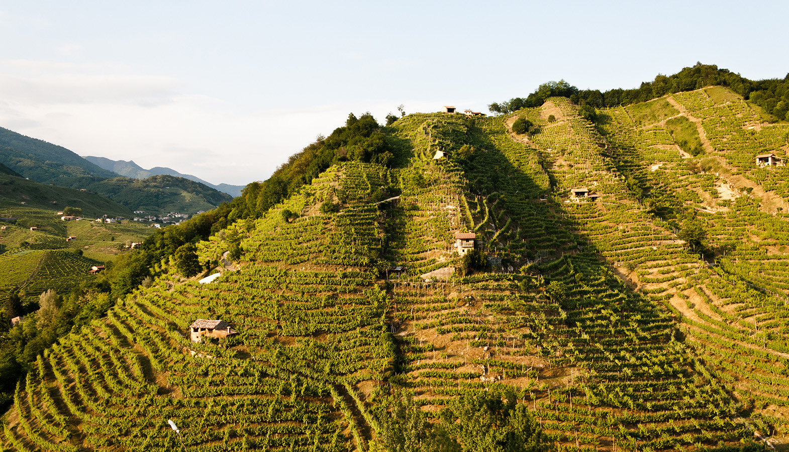 The Terroir - Bisol | Bisol Prosecco Valdobbiadene DOCG